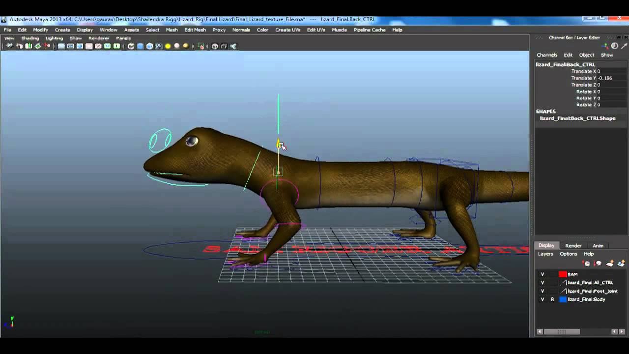 Lizard Rigg
