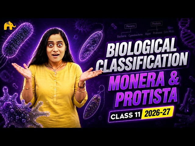 Understanding Biological Classification: Kingdom Monera and Protista ...