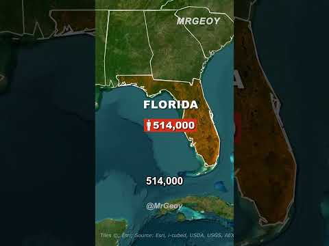 Top States Americans Are Leaving the Most #facts #geography #shorts