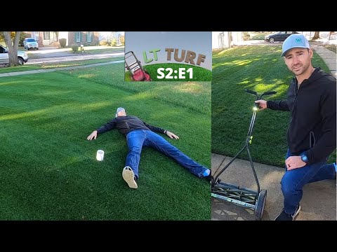 LT TURF Justin Webb - The Lawn Whisperer | Season 2 Episode 1