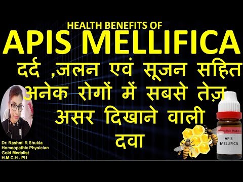 एपिस मेलिफिका : बेहद फायदेमंद होम्योपैथिक दवा| apis mellifica 30|Apis mellifica 200