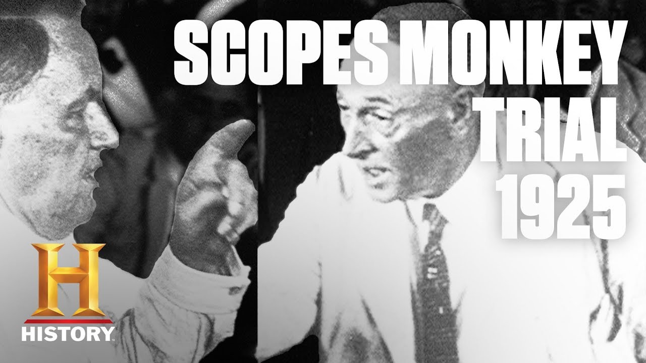 Scopes Monkey – Rare Footage of the 