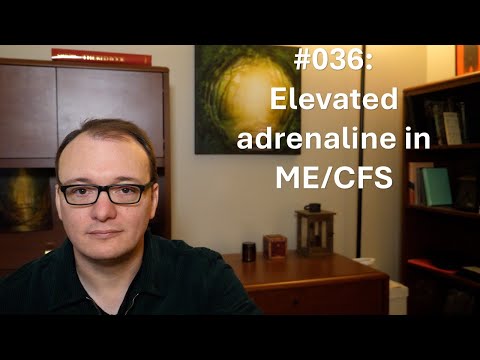 036 - Elevated adrenaline in ME/CFS