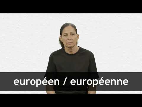 English Translation of “EUROPÉEN” | Collins French-English Dictionary