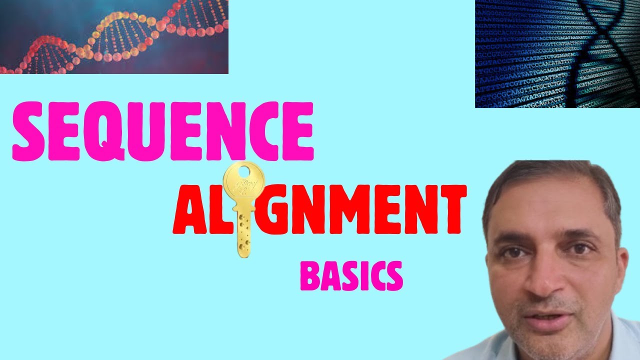 Sequence Alignment Made Easy | Bioinformatics for Beginners