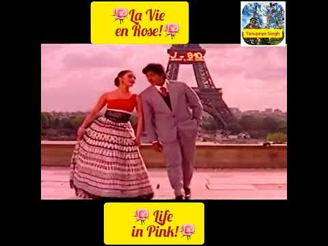 La Vie en Rose!..Life in Pink! (French-English)(French Expression)