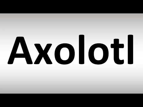 How to Pronounce Axolotl? | Pronunciation Guide