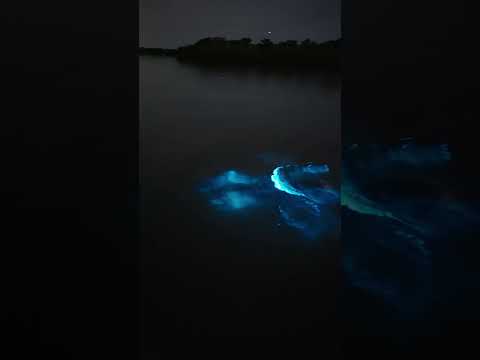 Glow in the Dark Swimming 🤩
