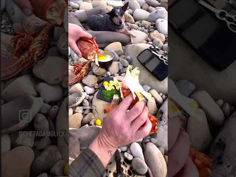 Lobster fishing with @ChefAdamGlick from the Adventure Chef Collection #messermeister #knifeforlife