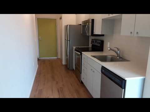 Angeline Apartments | Seattle, WA | Cacao Studio Floor Plan Walk-Through