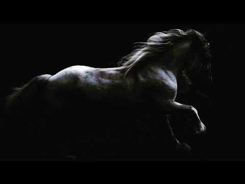 Pain Science for Horse Owners: why I made the new course