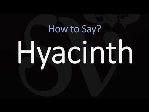 How to Pronounce Hyacinth? (CORRECTLY)