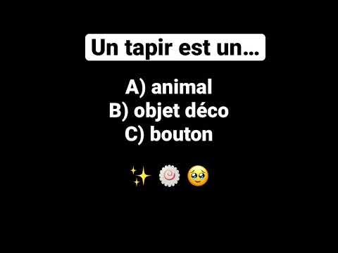 Un tapir sur est… #dictionnaire