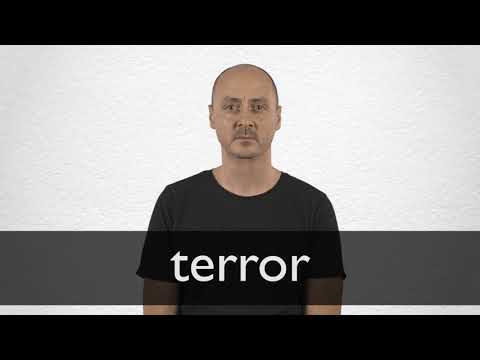 How to pronounce TERROR in British English