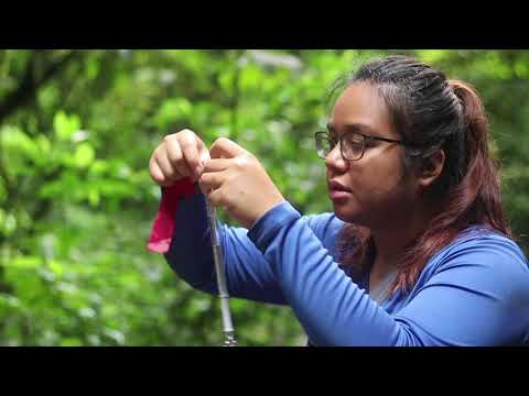 A Day in the Life: Field Biologist