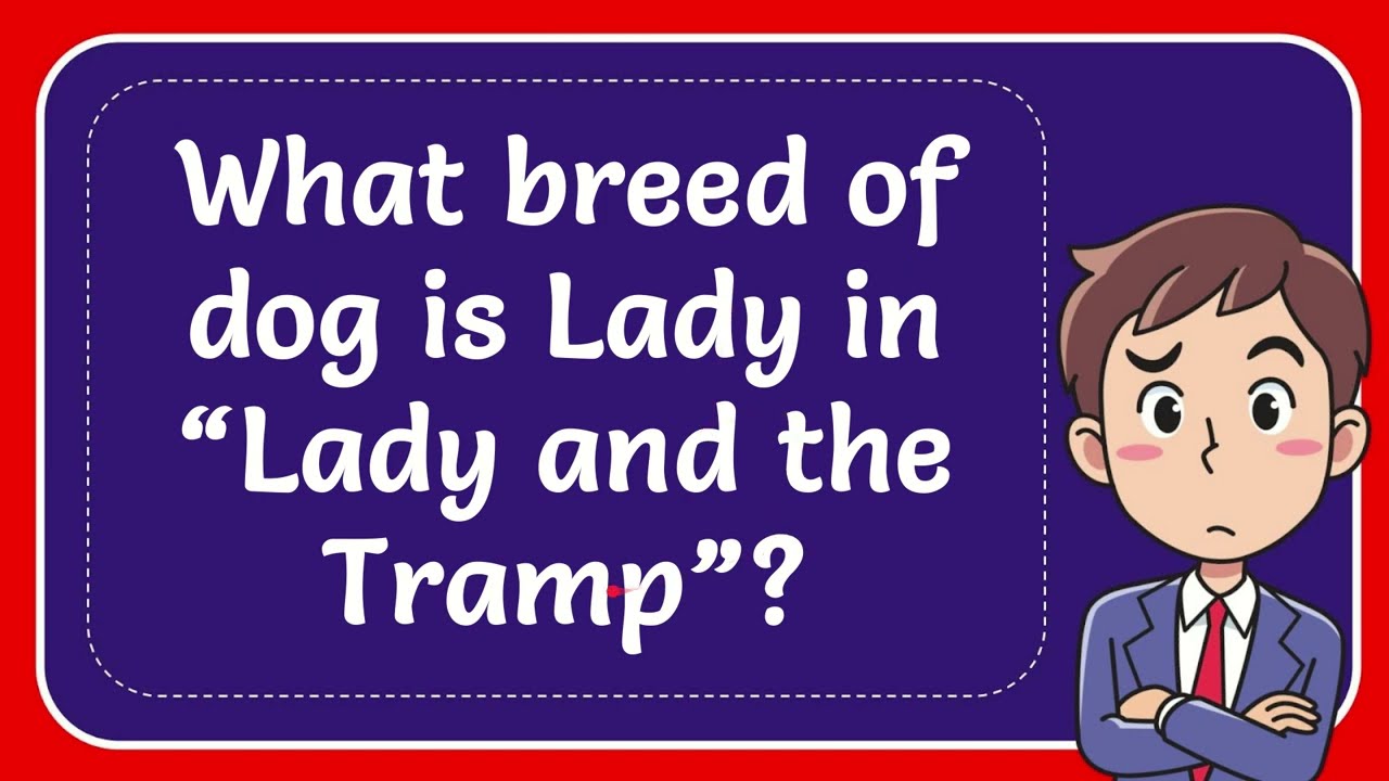 What breed of dog is Lady in “Lady and the Tramp”?