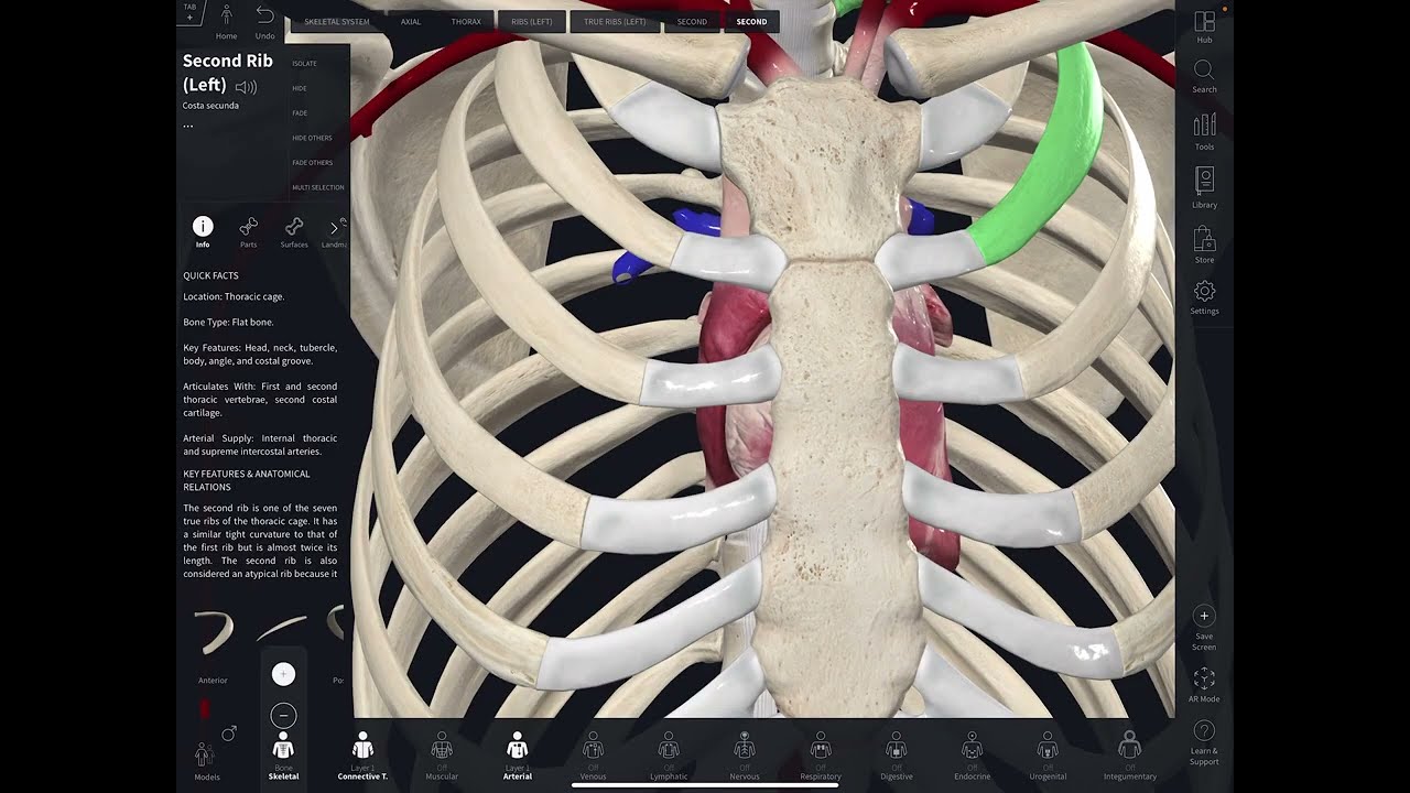 What is the Best anatomy program/app?