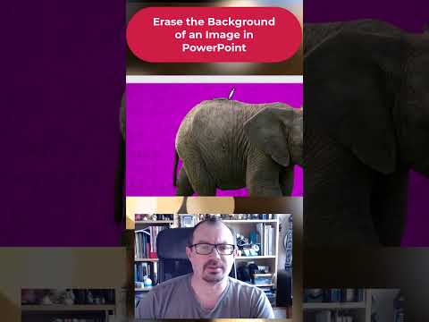 How to remove an image background in PowerPoint