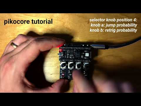 Infinite Digits Pikocore 2023 | Reverb