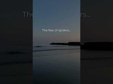 Facing Arachnophobia: Understanding the Fear of Spiders
