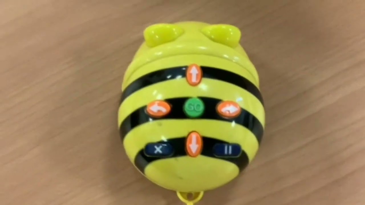 Beebot Lesson Digi Leaders