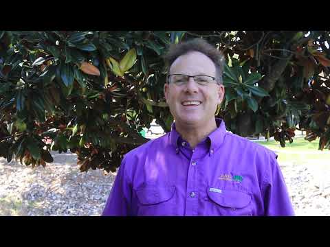 Plant and Soil System Concentrations (with Bob Mirabello)
