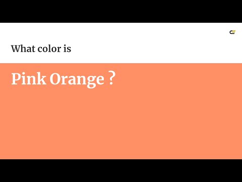 Pink Orange color #ff9066 hex Cool Orange color ff9066