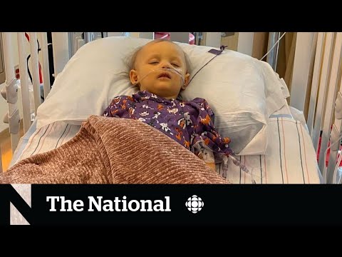 Research offers hints into mystery liver disease in children
