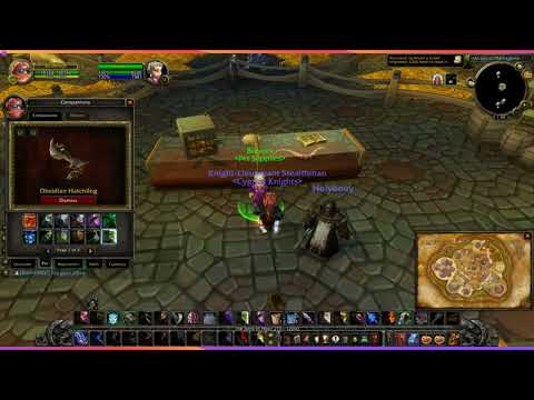 Companion Pet Necessities at the Magical Menagerie - World of Warcraft Classic Wotlk