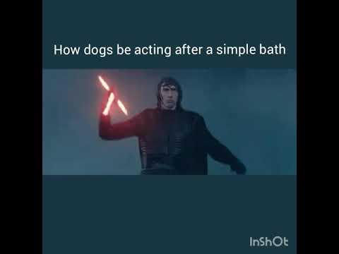 [Kylo Meme] StarWars Rise of Skywalker GIF