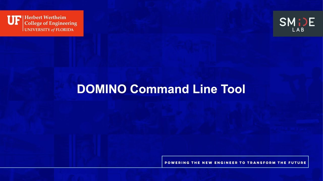 DOMINO CLI Tutorial: Easily Process Single or Batches of NIfTI Files