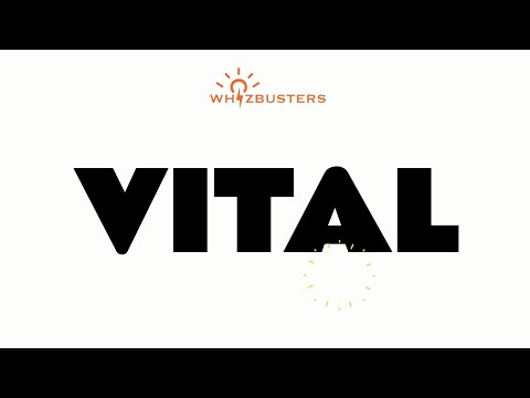 VITAL (adjective) Meaning, Pronunciation and Examples in Sentences | GRE GMAT LSAT SAT ESL TOEIC