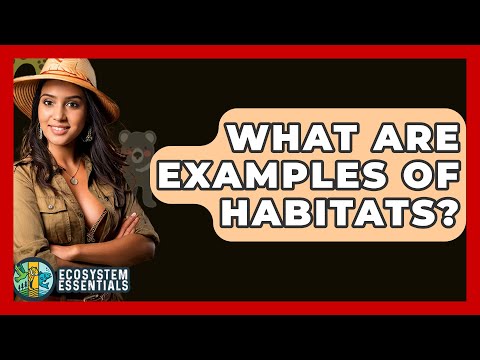 What Are Examples Of Habitats? - Ecosystem Essentials