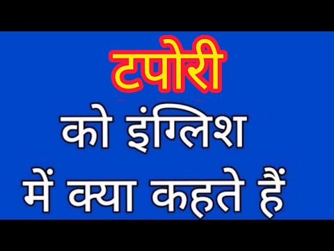 Tapori ko english mein kya kahate hain | टपोरी को इंग्लिश में क्या कहते हैं | Punk meaning in hindi