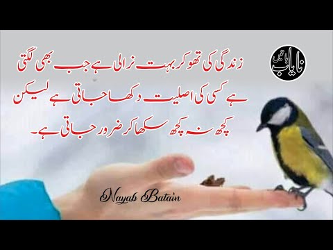 Motivational Quotes in Hindi┇Inspirational Hindi Quotes┇Status Quo┇Motivational Thoughts in Hindi