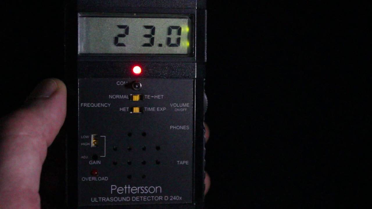 Bat detector test 4