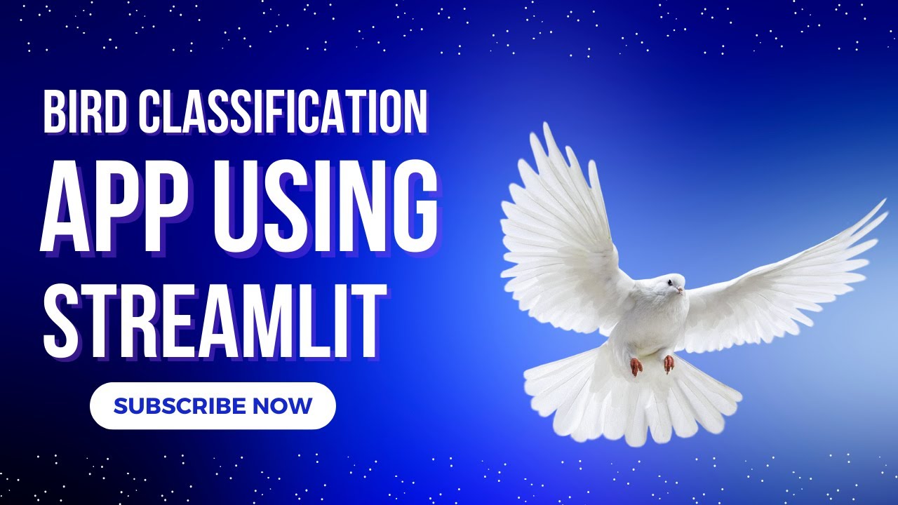 Build a Bird Classification App with Streamlit | Machine Learning Project in Python