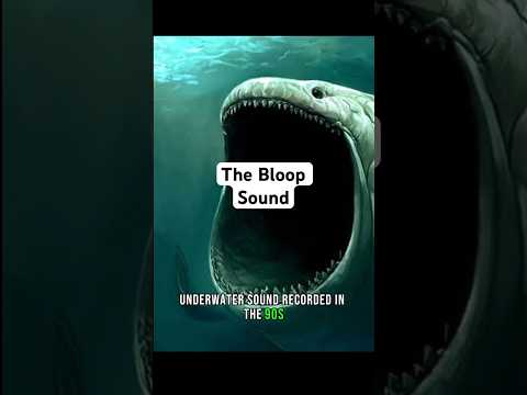 The Bloop Sound Iceberg Explained