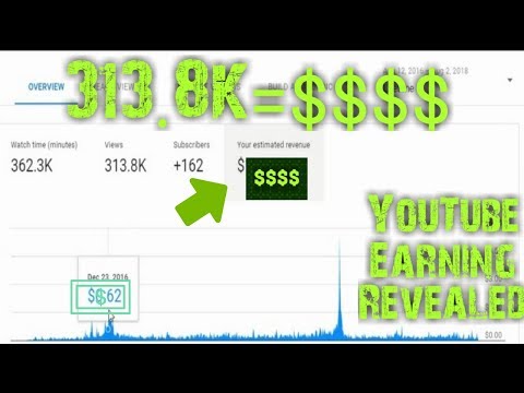 Less then 10,000 Subscribers How Much YouTube Pays Me....
