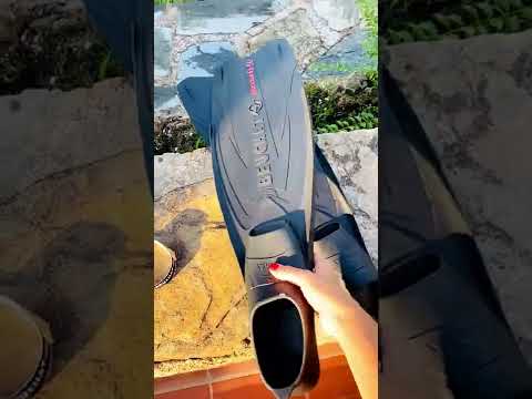 We tested our new freedive gear #shorts