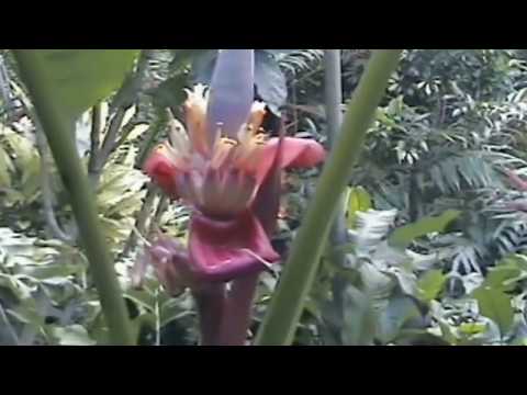 Le Val Nature Park Offering Great Natural Delights For the Tourists ...