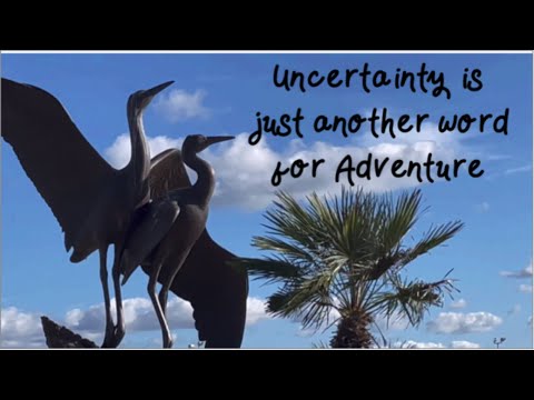 Uncertainty is just another word for adventure.