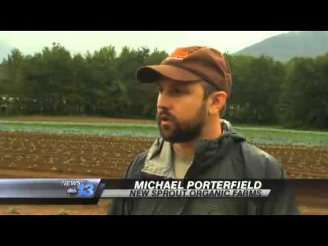 Organic Food Health