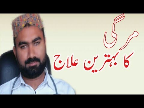 Absinthium uses || by Sahibzada Dr.M Ismail Khan Niazi