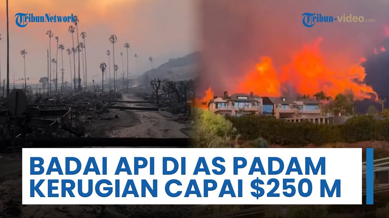 Kebakaran Bak Badai Api di Los Angeles Telan Kerugian Lebih dari Rp 4 ...