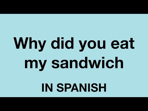 How To Say (Why did you eat my sandwich) In Spanish