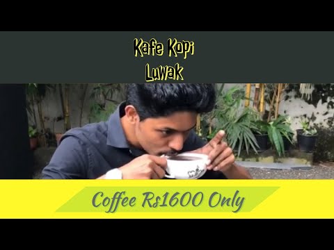 Kafe Kopi Luwak (Indonesian Civet Cat WASTE purified to Coffee cost 1600Rs kochi)