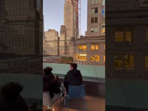 Hidden gem: 7th floor rooftop at NY Public Library: Stavros Niarchos 📍 455 Fifth Ave 🎥: @nycitykopp
