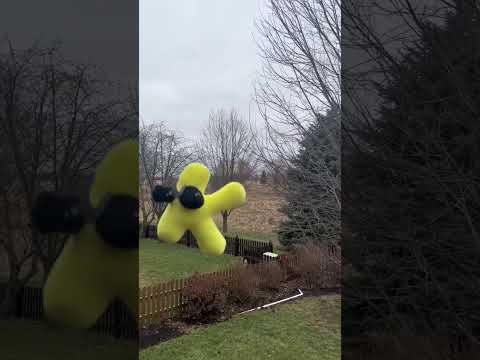 Alphabet Lore - Letter K - Fly 🤩 #alphabetlore #lol #funnyvideos #funny #plushtoys #fly #K #shorts