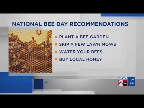 National Bee Day